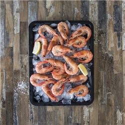 Home - Mooloolah River Fisheries